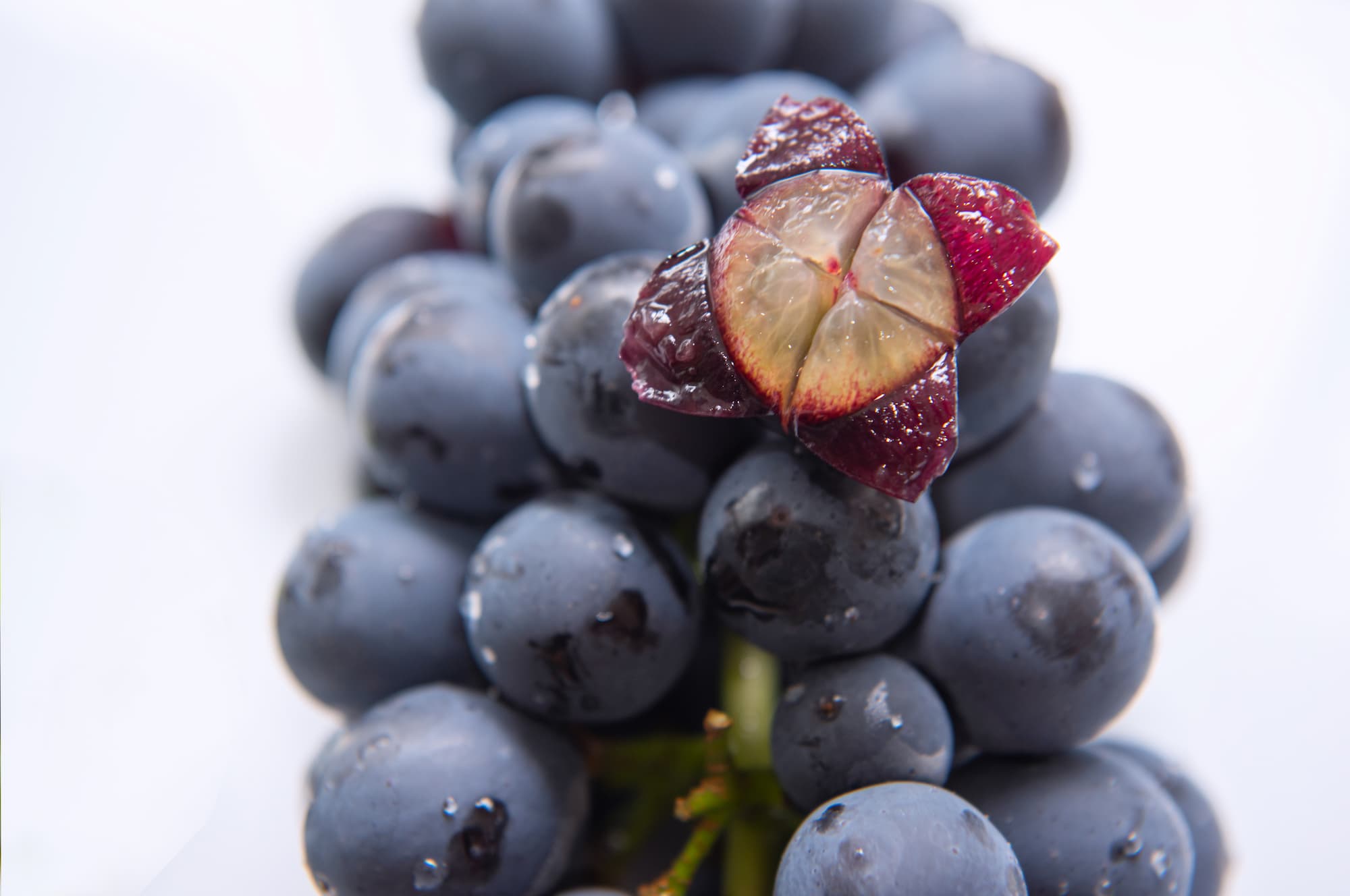 Blanc de Noir: Weißwein aus roten Trauben | Gerolsteiner WeinPlaces